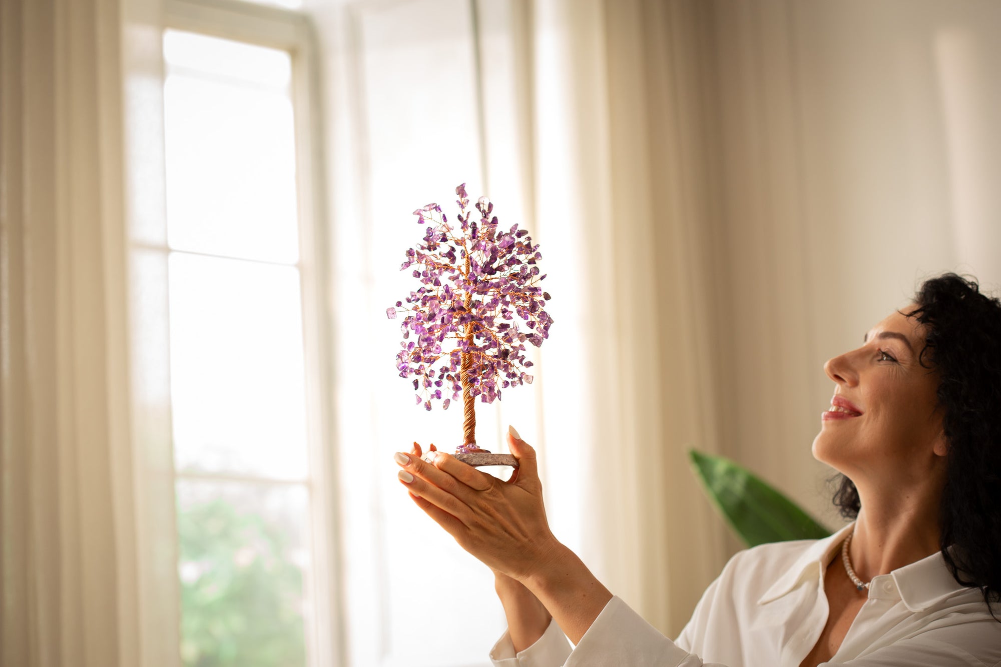 Where to Place a Tree of Life: Optimize the Feng Shui of Your Home